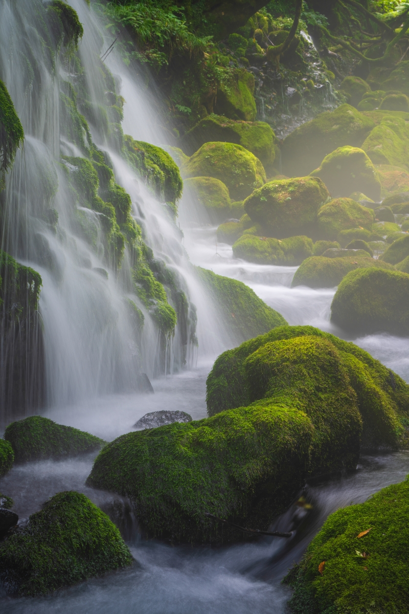 Fine art gallery of Japanese wilderness and nature photographs by ...