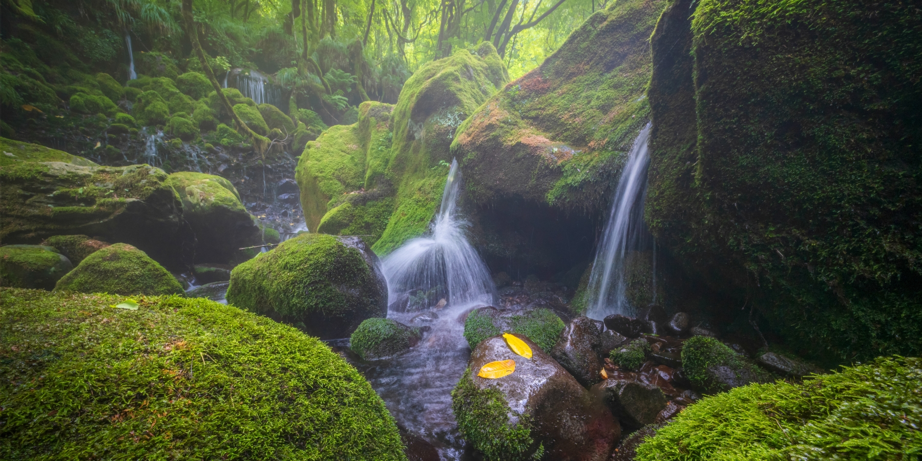 Fine art gallery of Japanese wilderness and nature photographs by ...